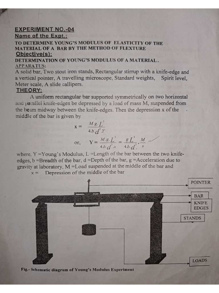 Youngs Modulus | PDF