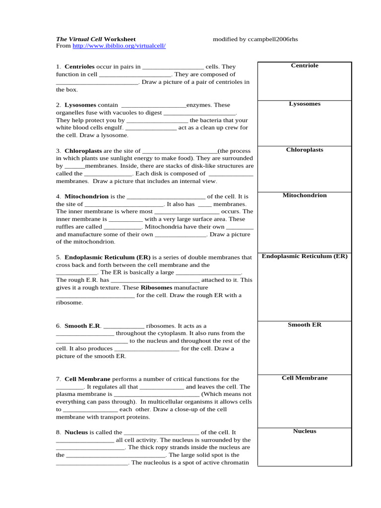 The Virtual Cell Worksheet | PDF