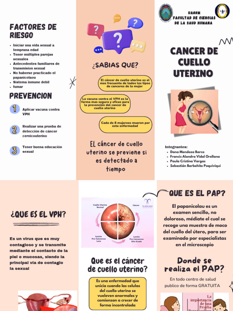 Triptico Its-Vph - 20240906 - 151019 - 0000 | PDF