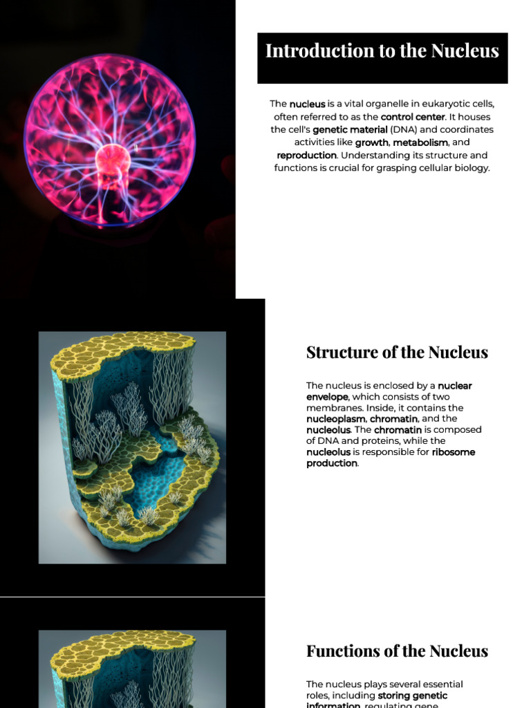 Nucleus | PDF | Wellness