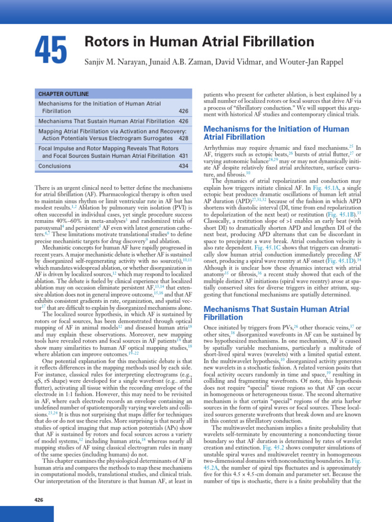 45 - Rotors in Human Atrial Fibrillation | PDF