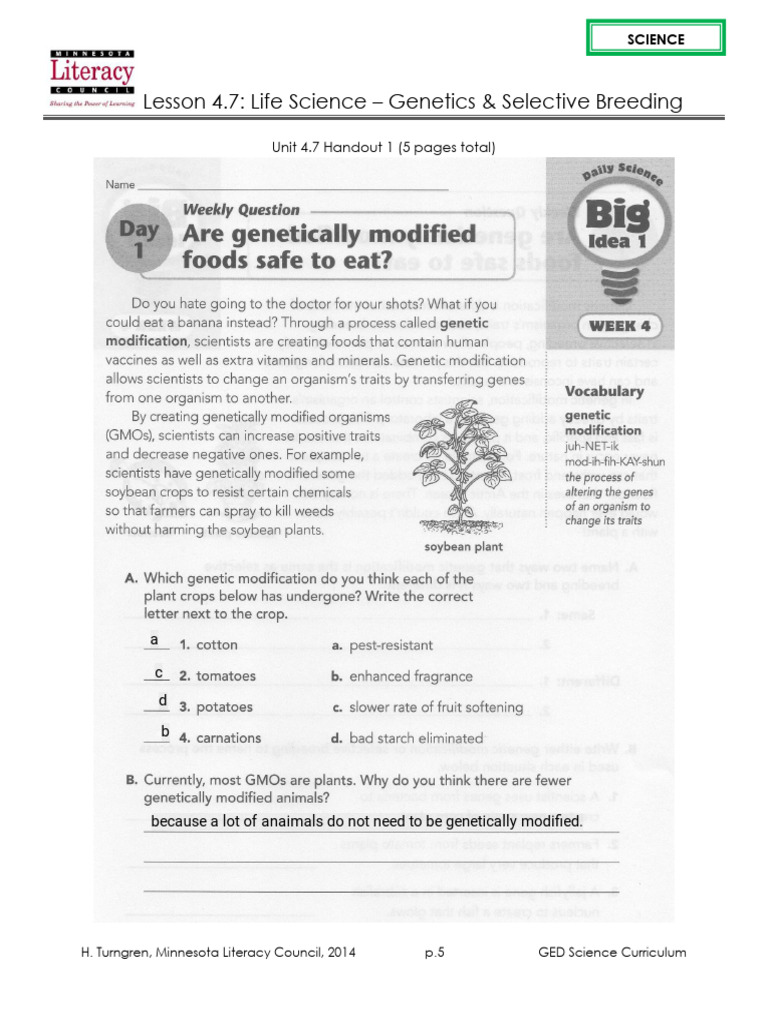 Kami Export - J - Mutations - Are Genetically Modified Foods Safe To ...