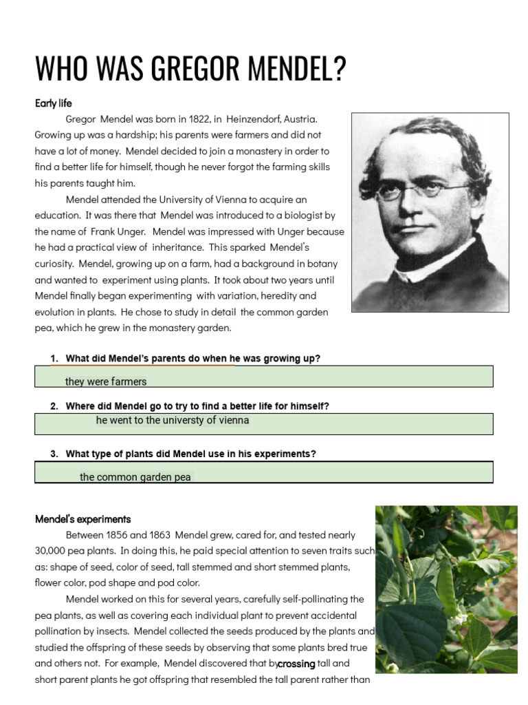 Ka - Who Was Gregor Mendel | PDF | Dominance (Genetics) | Heredity