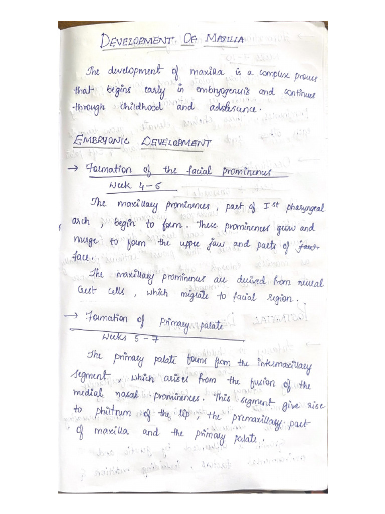 Development of Maxilla (Osteology Stages) I | PDF