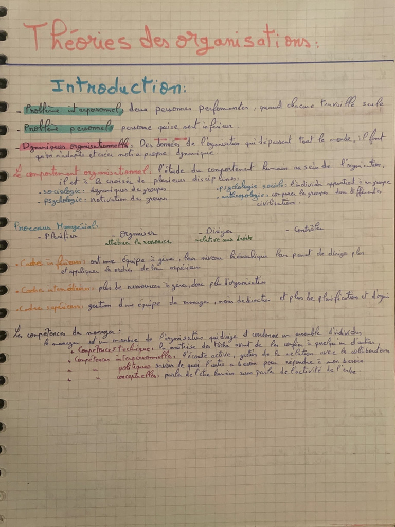 Theories Des Orga | PDF