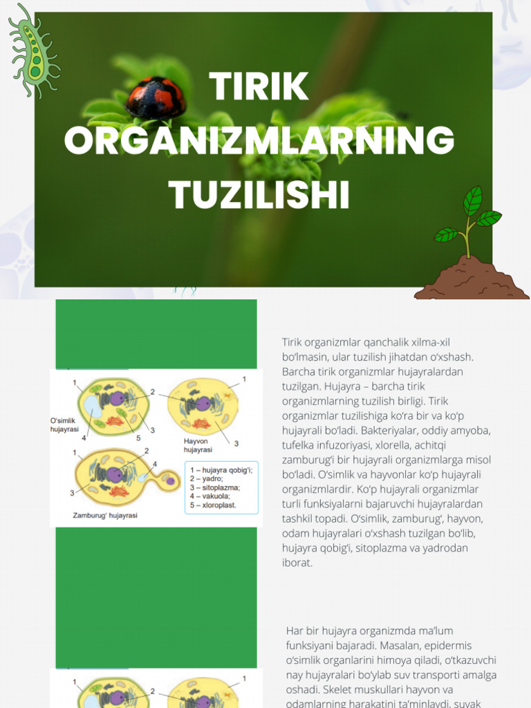 Tirik Organizmlarning Tuzilishi PDF | PDF