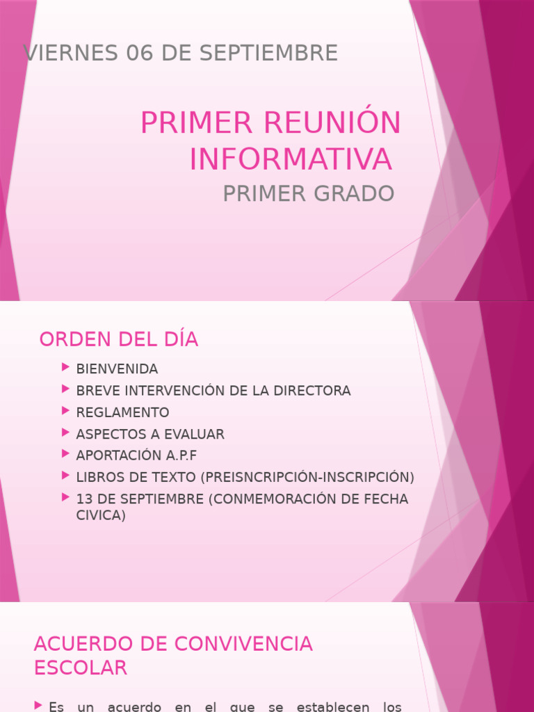 Primer Reunión Informativa | PDF