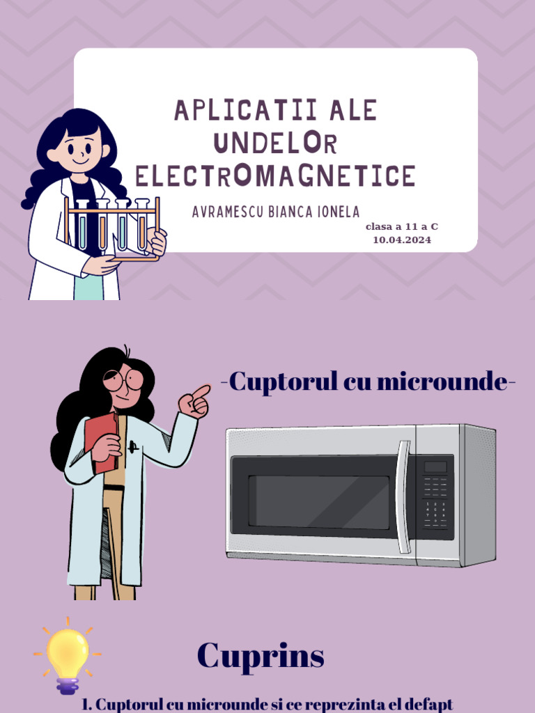Cuptorul Cu Microunde | PDF