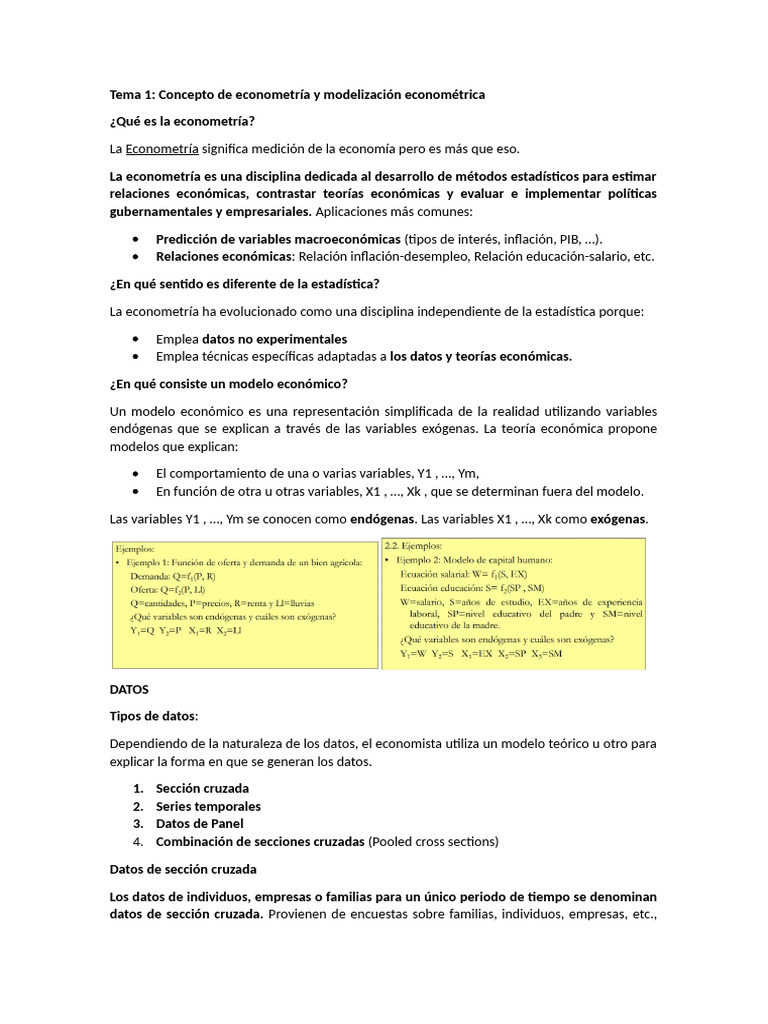 Tema 1 ECONOMETRIA | PDF