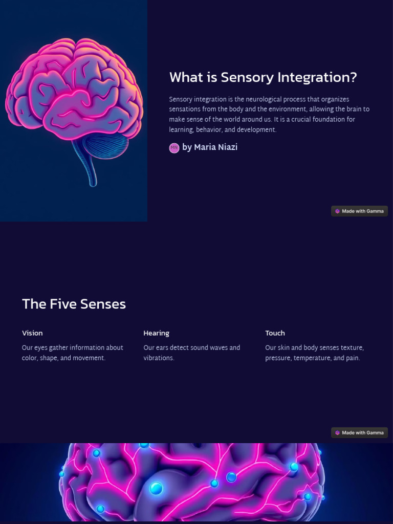 What Is Sensory Integration | PDF