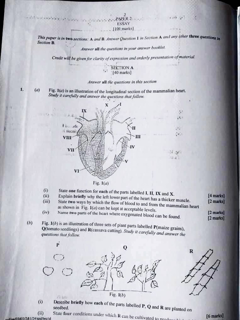 Int Science Practicals, Theory & Obj Serialized Bece 2024 | PDF Int Science Practicals, Theory & Obj Serialized Bece 2024 | PDF