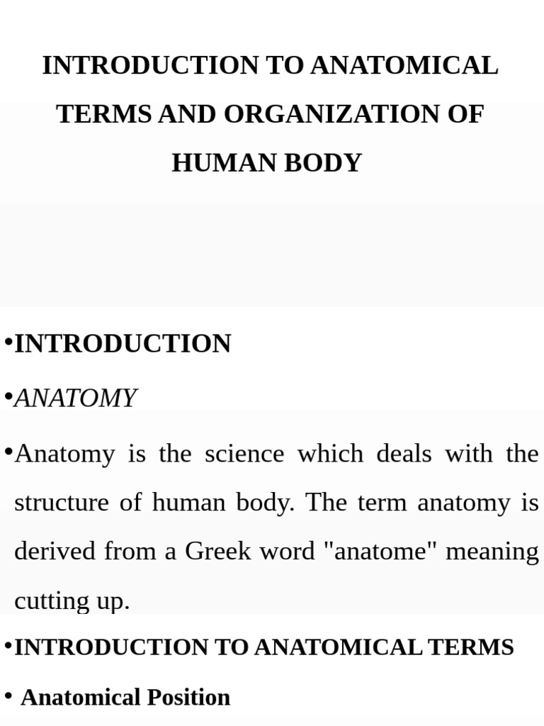 Anatomical Terms, Positions and Movements | PDF