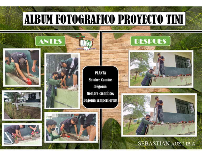 Album Fotografico Proyecto Tini PDF | PDF