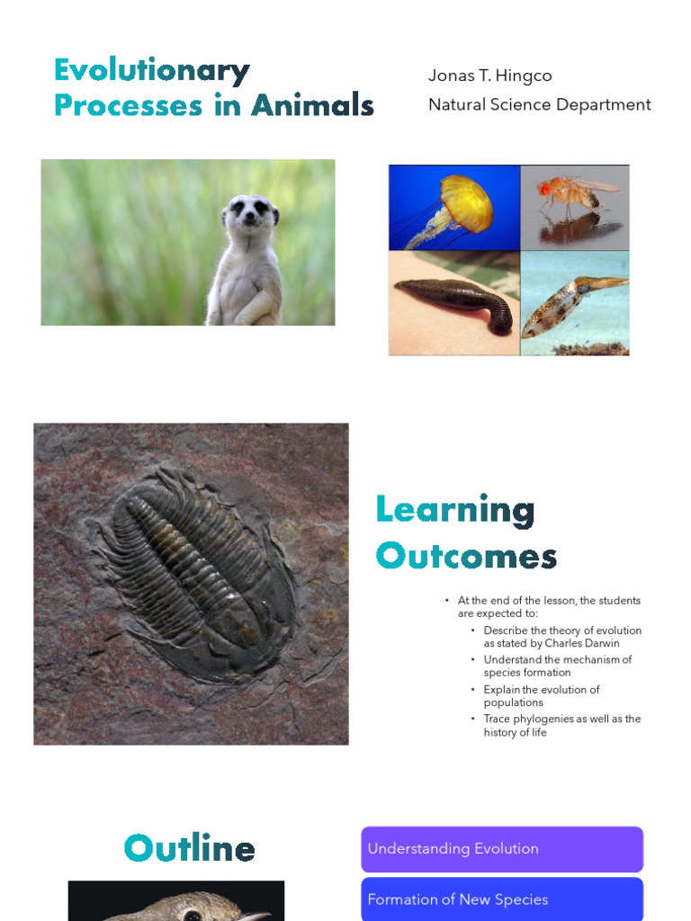 ZOO 1 Evolution | PDF