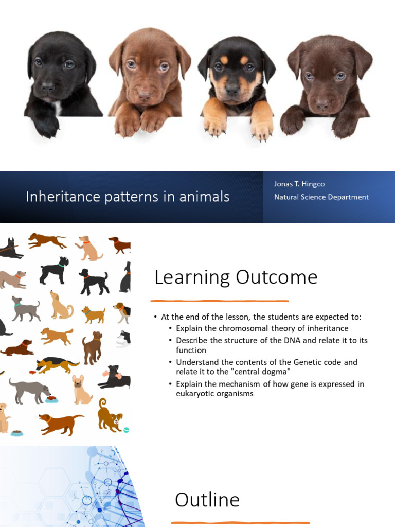 Inheritance Pattern in Animals | PDF