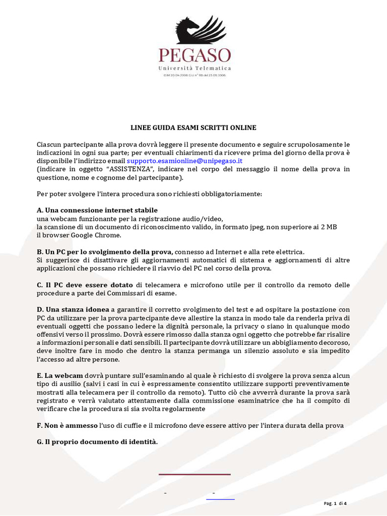Linee Guida Esami Scritti Online | PDF