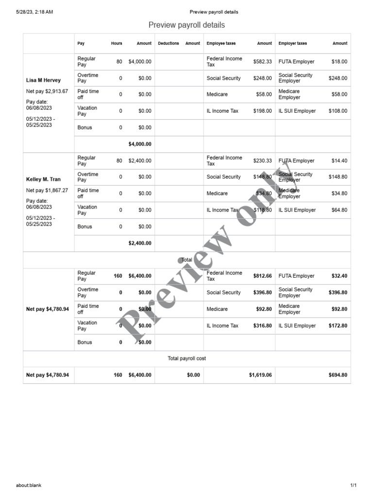 Case Study On Payroll Details-New (USA) | PDF