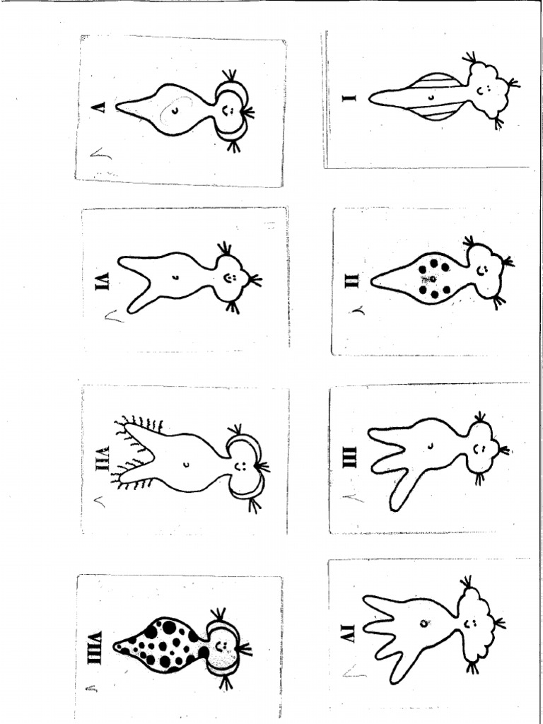 Alien Dichotomous Key | PDF