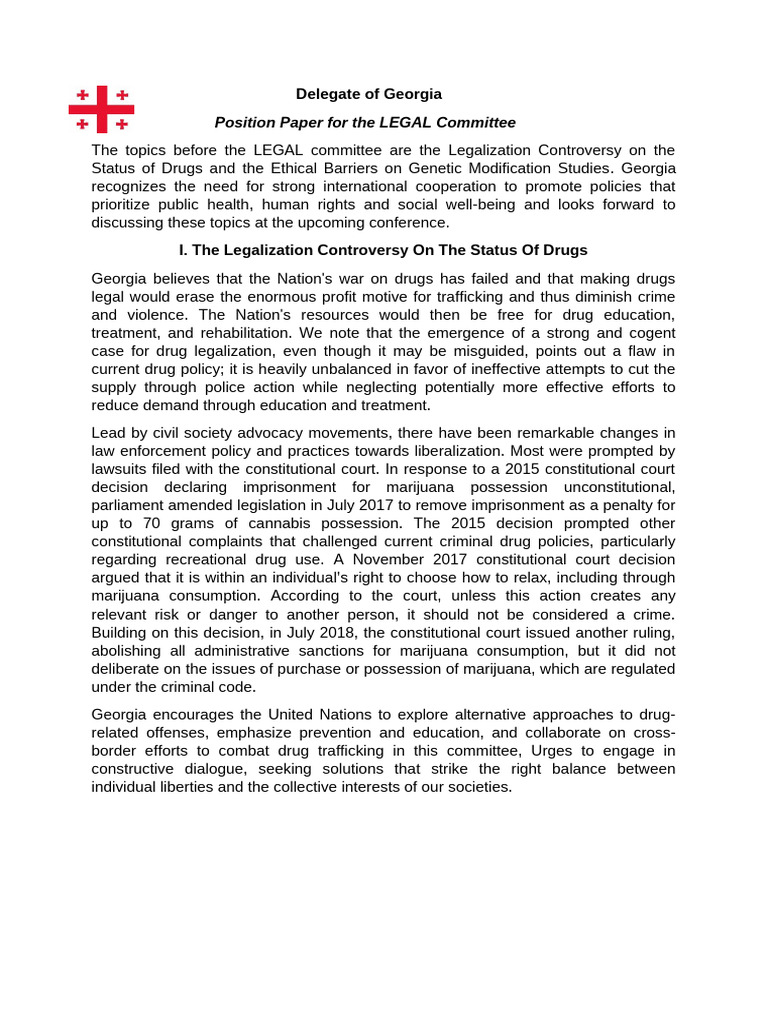 Position Paper Georgia | PDF