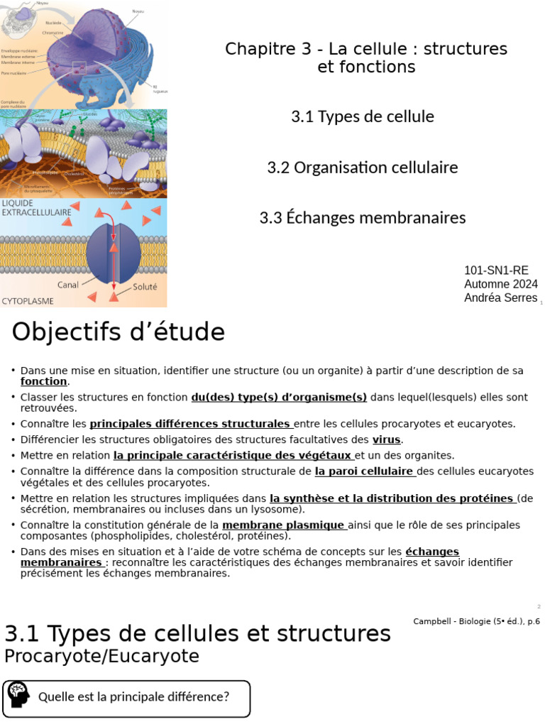 Chapitre 3 - La Cellule - Structures Et Fonctions Et | PDF