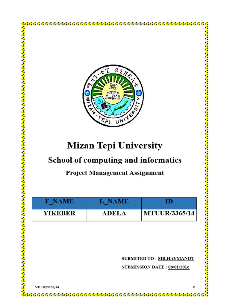 Project Management Assignment | PDF
