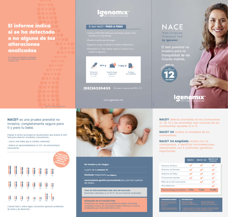 Nace24 2019 ESP 2 Compressed-1 | PDF | Cell Nucleus | Genetic Disorder