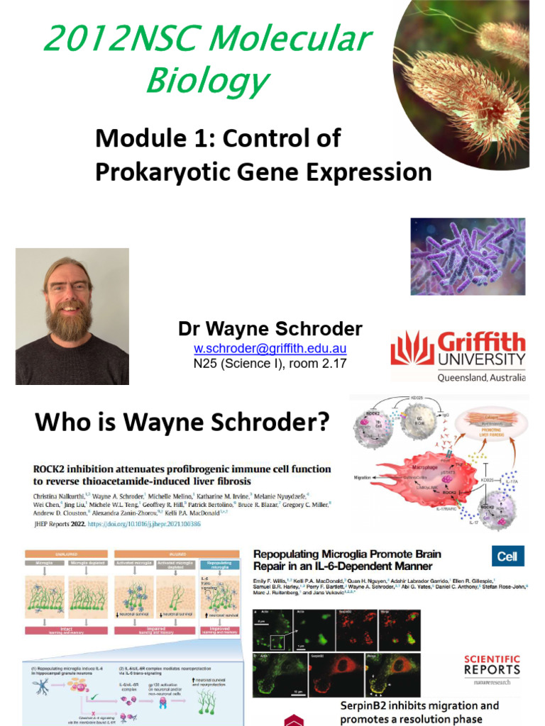 Module 1 - Lecture 1 | PDF