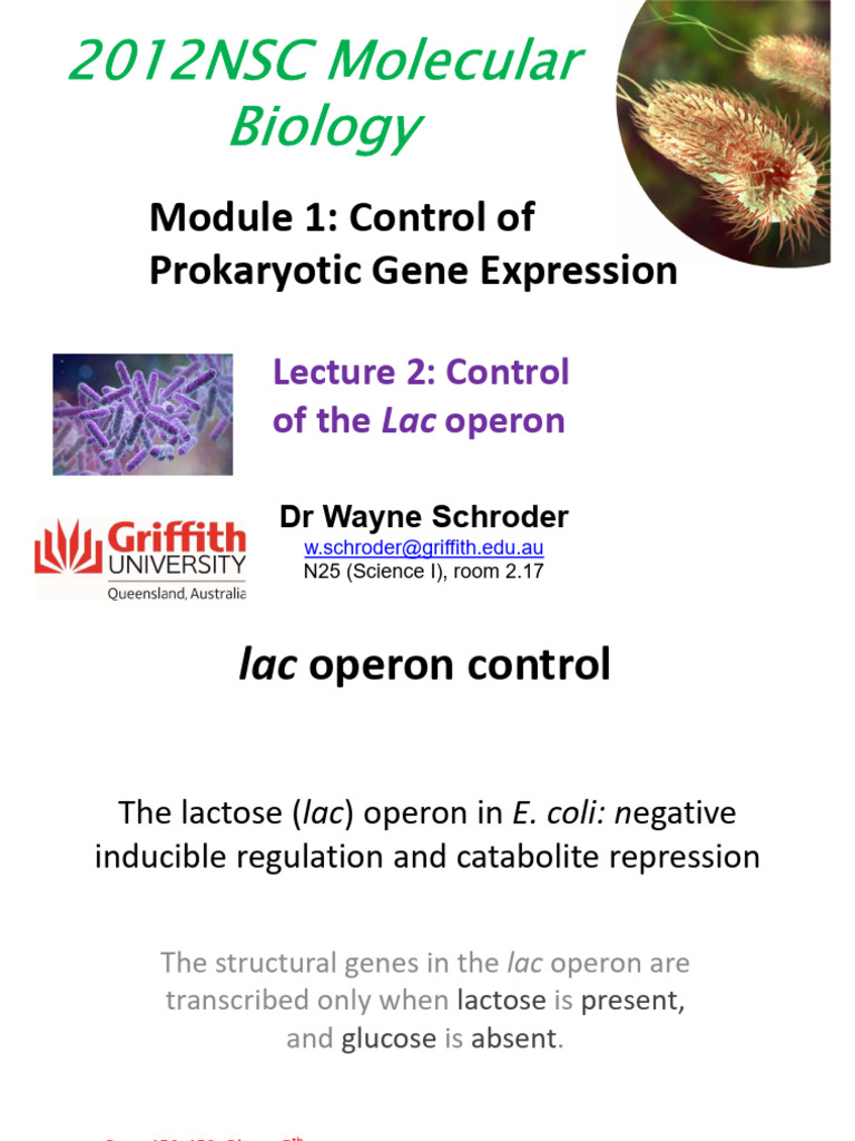 Module 1 - Lecture 2 | PDF