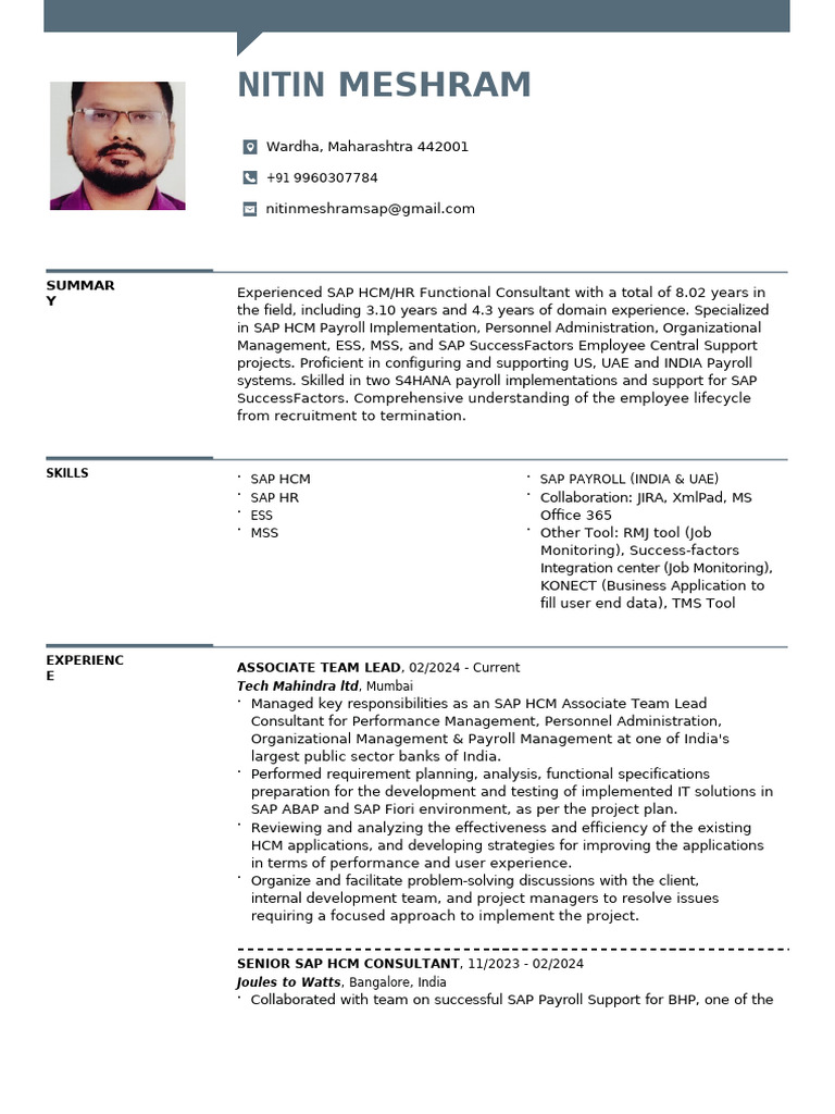 Nitin Meshram Resume | PDF