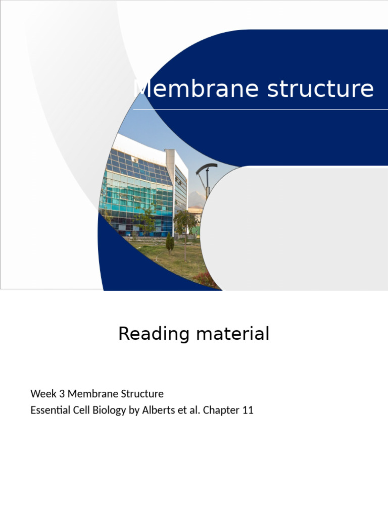 Week 3 Lecture | PDF