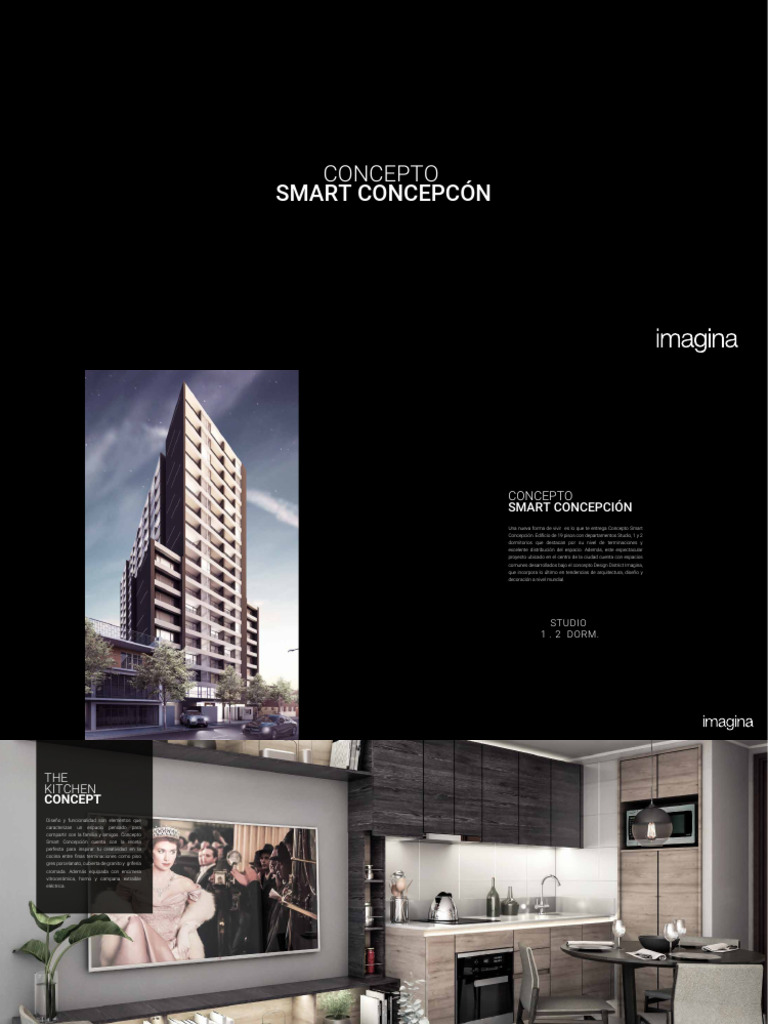 Brochure Concepto Smart Concepcion | PDF