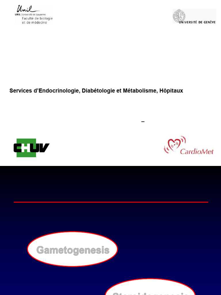 Menstrual Cycle | PDF