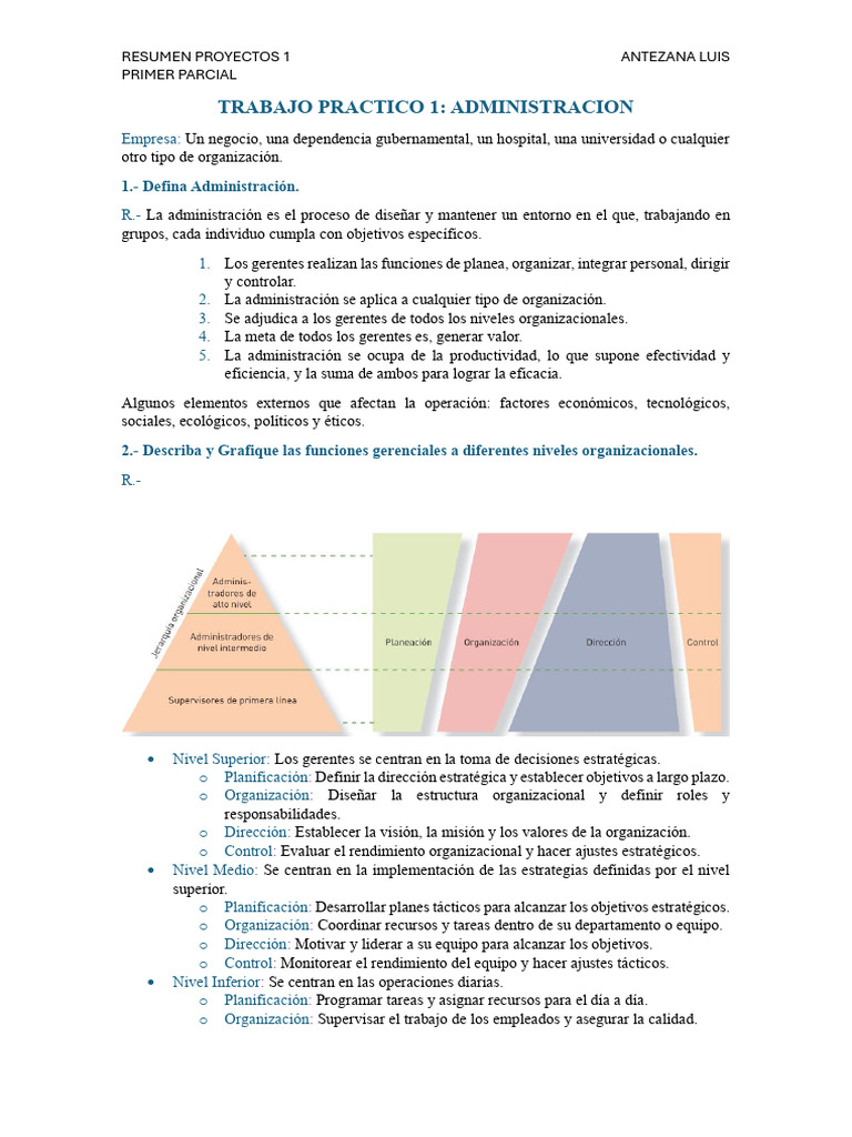 Resumen Prolijo - Primer Parcial | PDF