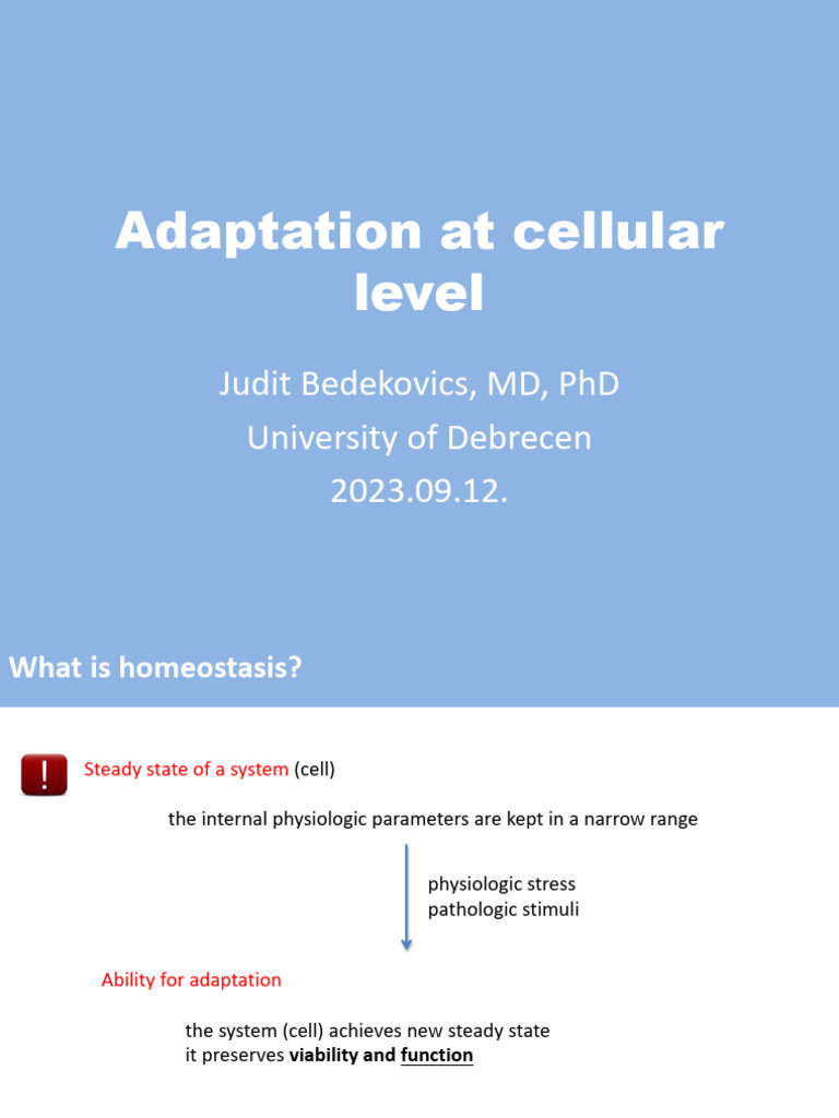 Adaptation at Cellular Level English | PDF