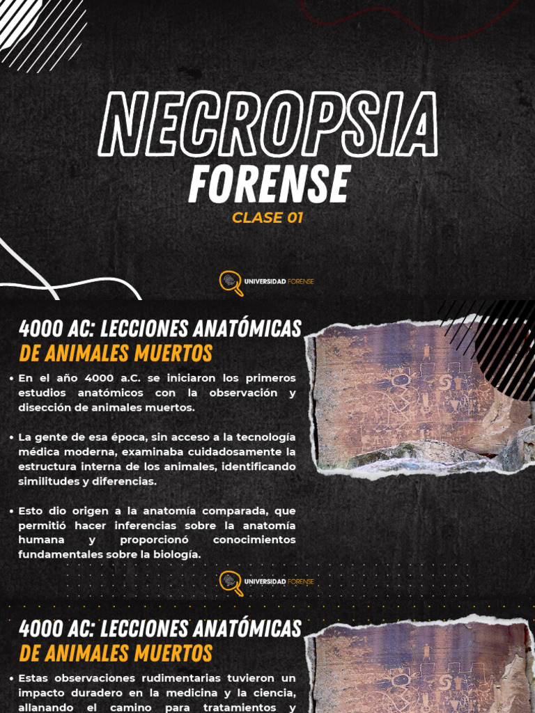 Necropsia Forense - Clase 01 | PDF