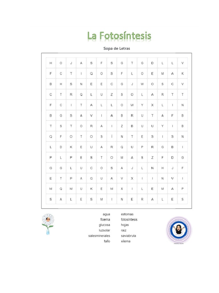 Sopa de Letras Fotointesis | PDF