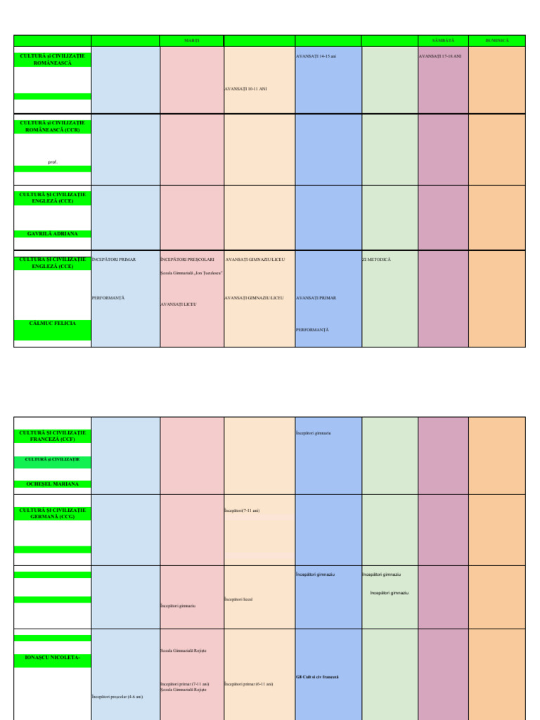 Orar General An Scolar 2024 2025 PALAT 1 | PDF
