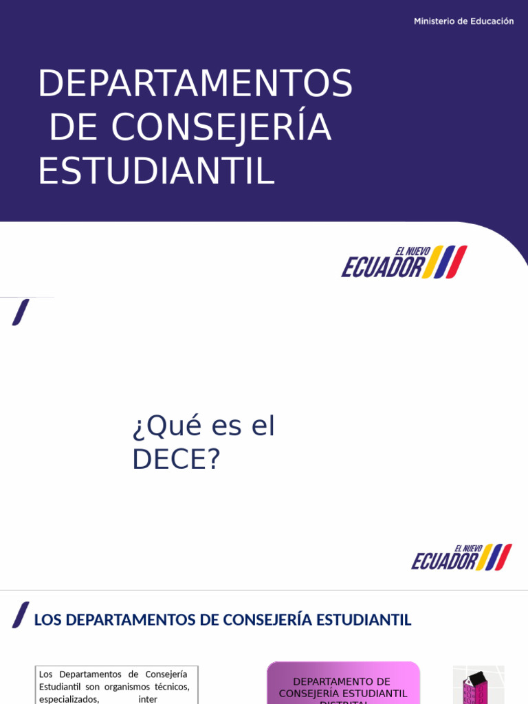 Modelo DECE - 2023 | PDF