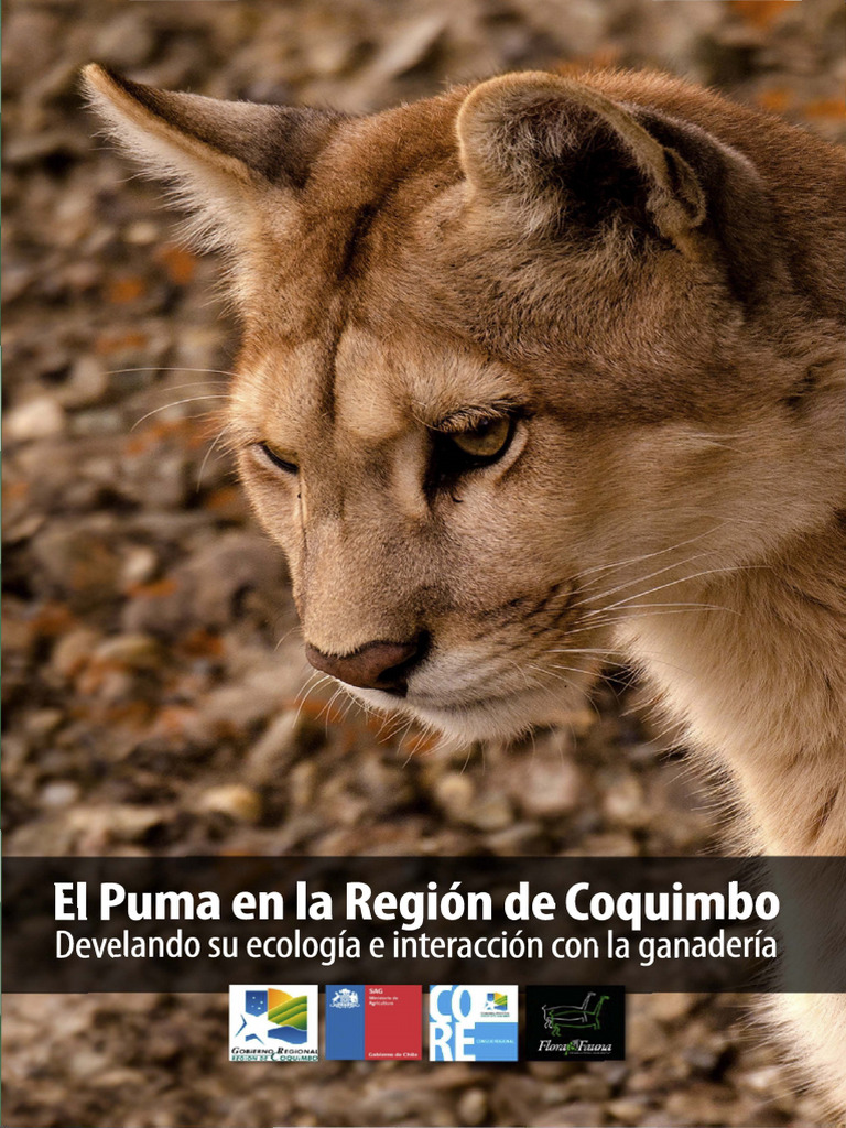 Puma de La Región de Coquimbo Chile | PDF