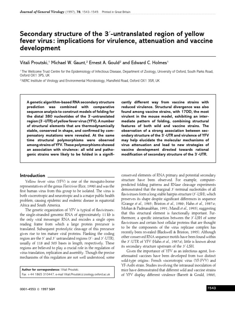 Secondary Structure of The 3 - Untranslated Region of Yellow Fever ...