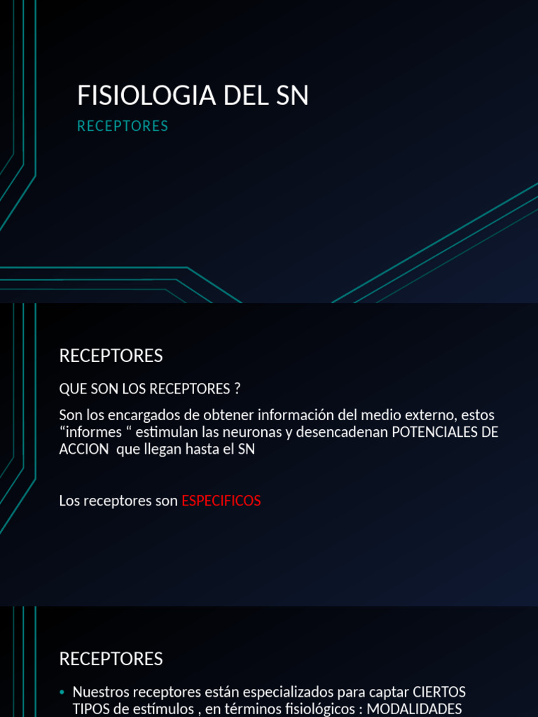 Receptores y Sinapsis Neurom | PDF