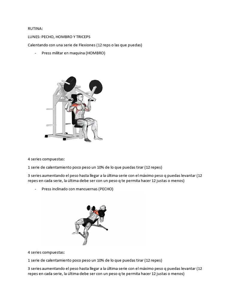 Rutina Gym | PDF