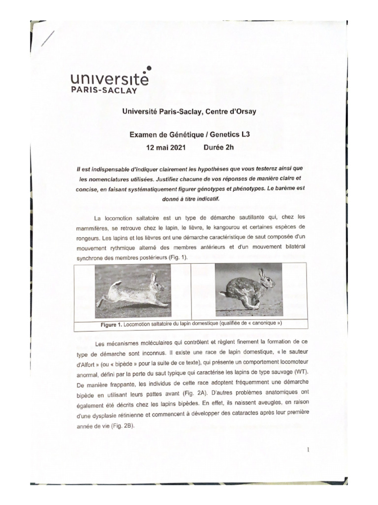 Annale Genetics | PDF