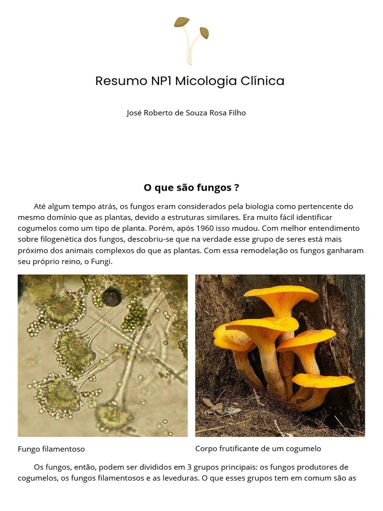 Resumo NP1 Micologia Clínica | PDF | Micología | Salud y bienestar