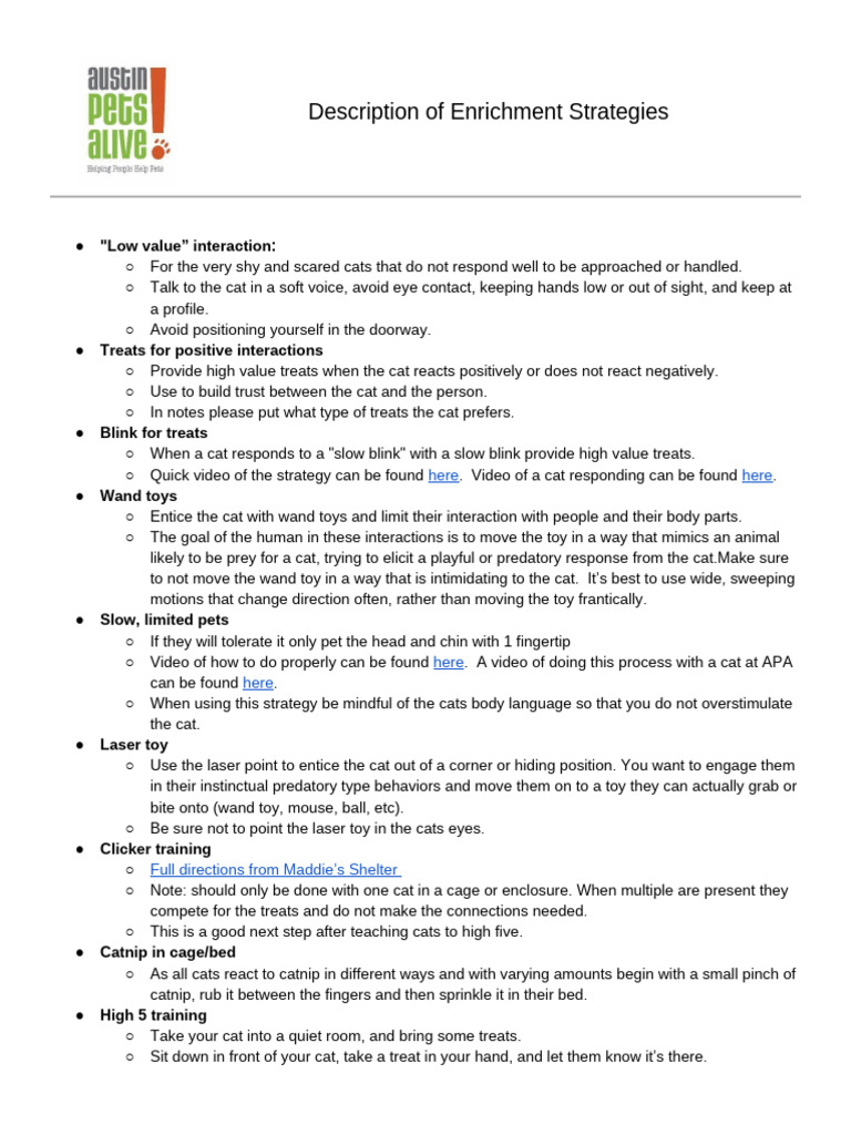 Description of Strategies | PDF