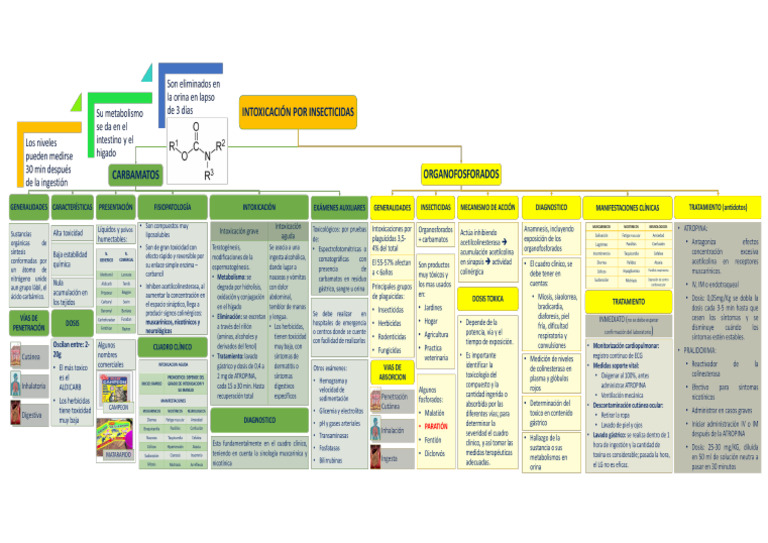 Carbamatos y Organofosforados | PDF