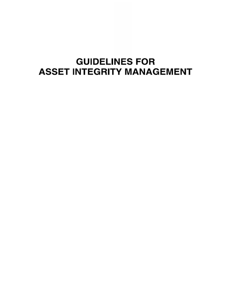 Guidelines For Asset Integruty Management | PDF