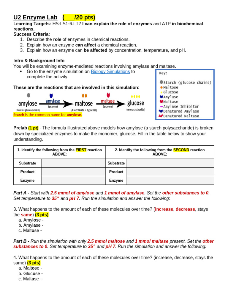 U2 Enzyme Lab Report 23 | PDF