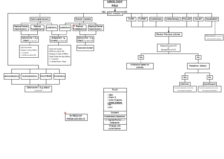 Skin Incision? Turp Turbt Ureteroscopy Thulep Holep Aquablation ...