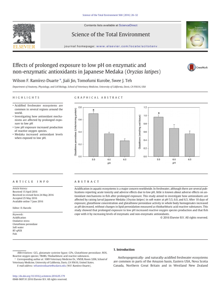 Effects of Prolonged Exposure To Low PH On Enzymatic and Non-Enzymatic ...